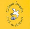 Coláiste Íosagáin, Portarlington | CEIST | Catholic Education | An ...