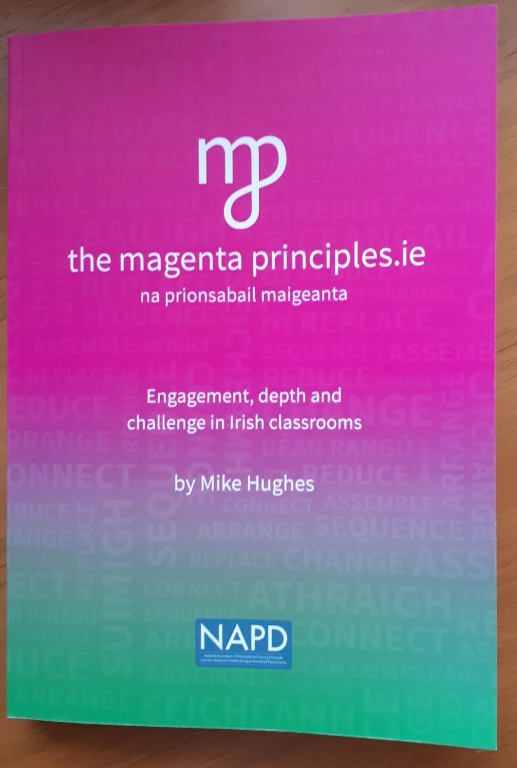 CEIST News Irish Magenta Principles, Mike Hughes | CEIST | Catholic ...