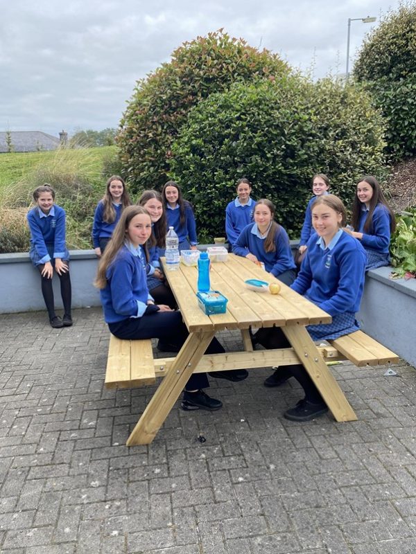 Schools St. Mary's Secondary School Mallow News - October 2020 | CEIST ...