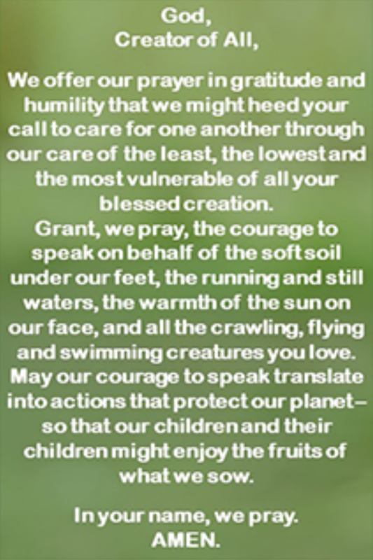 Earth Day 2021 | CEIST | Catholic Education | An Irish Schools Trust