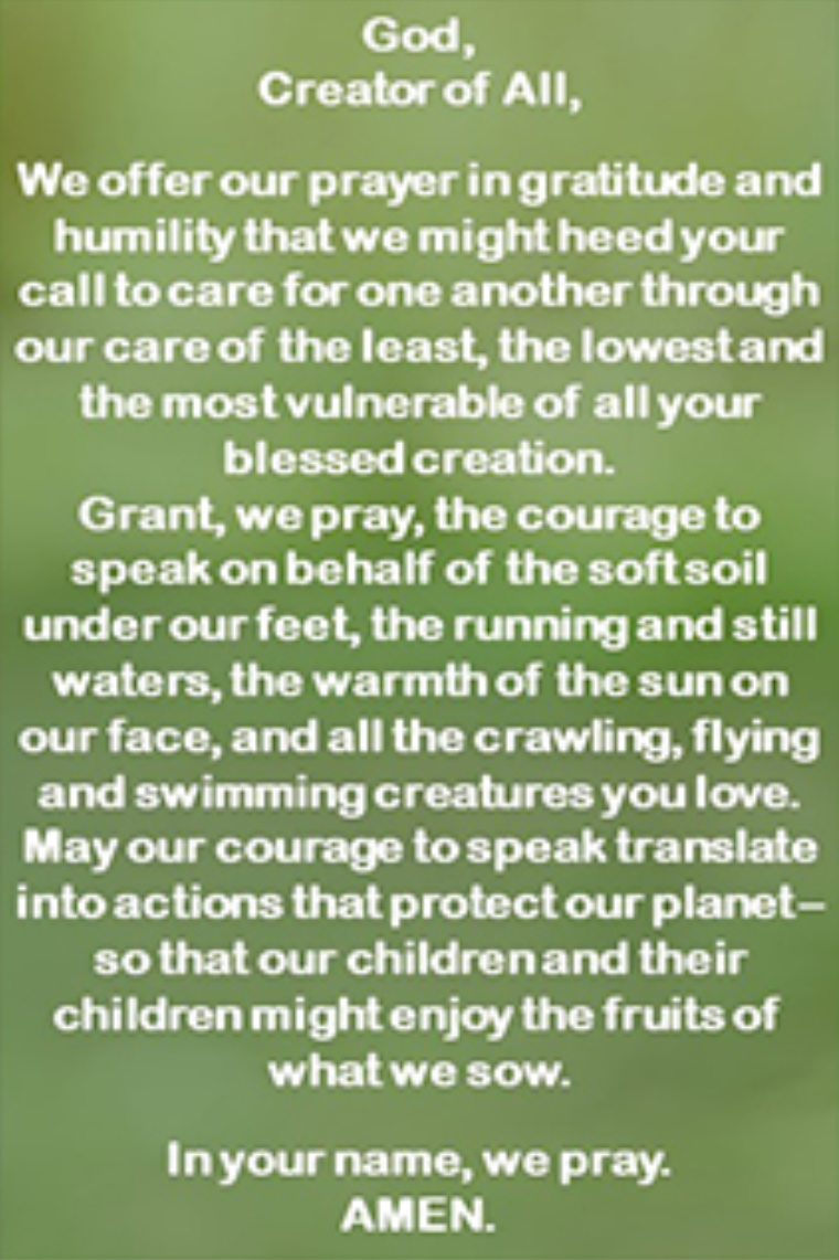 Earth Day 2021 | CEIST | Catholic Education | An Irish Schools Trust