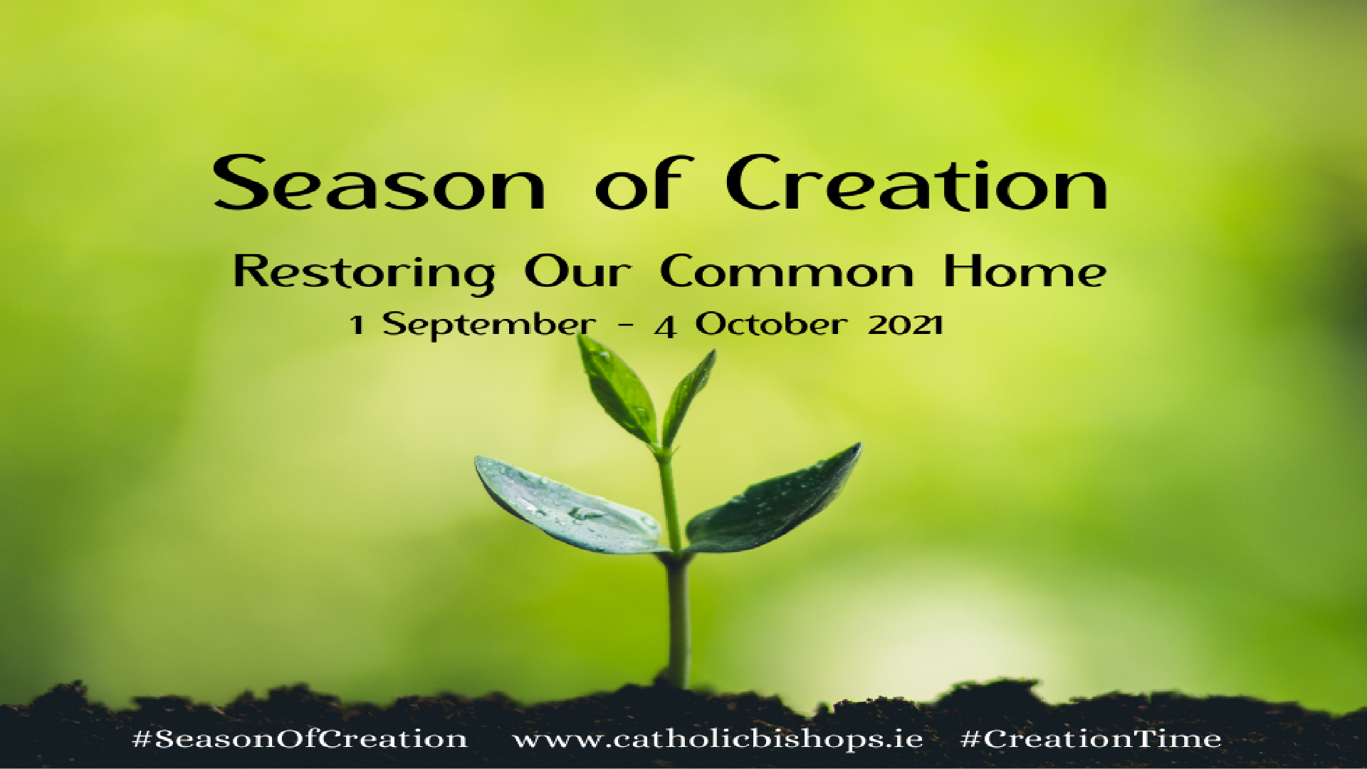 Care of Creation | CEIST | Catholic Education | An Irish Schools Trust
